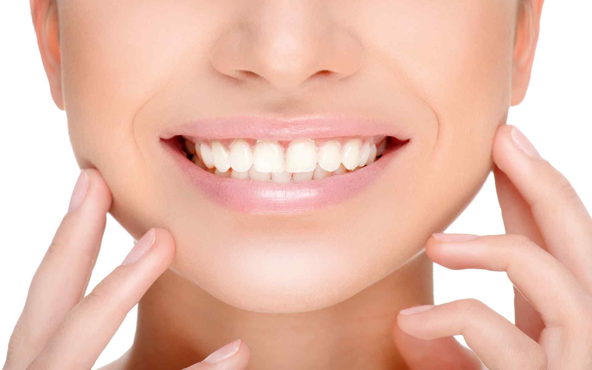 Teeth: Names, types, and functions | Prof. Dr. Engin Çakar Teeth: Names, types, and functions | Prof. Dr. Engin Çakar